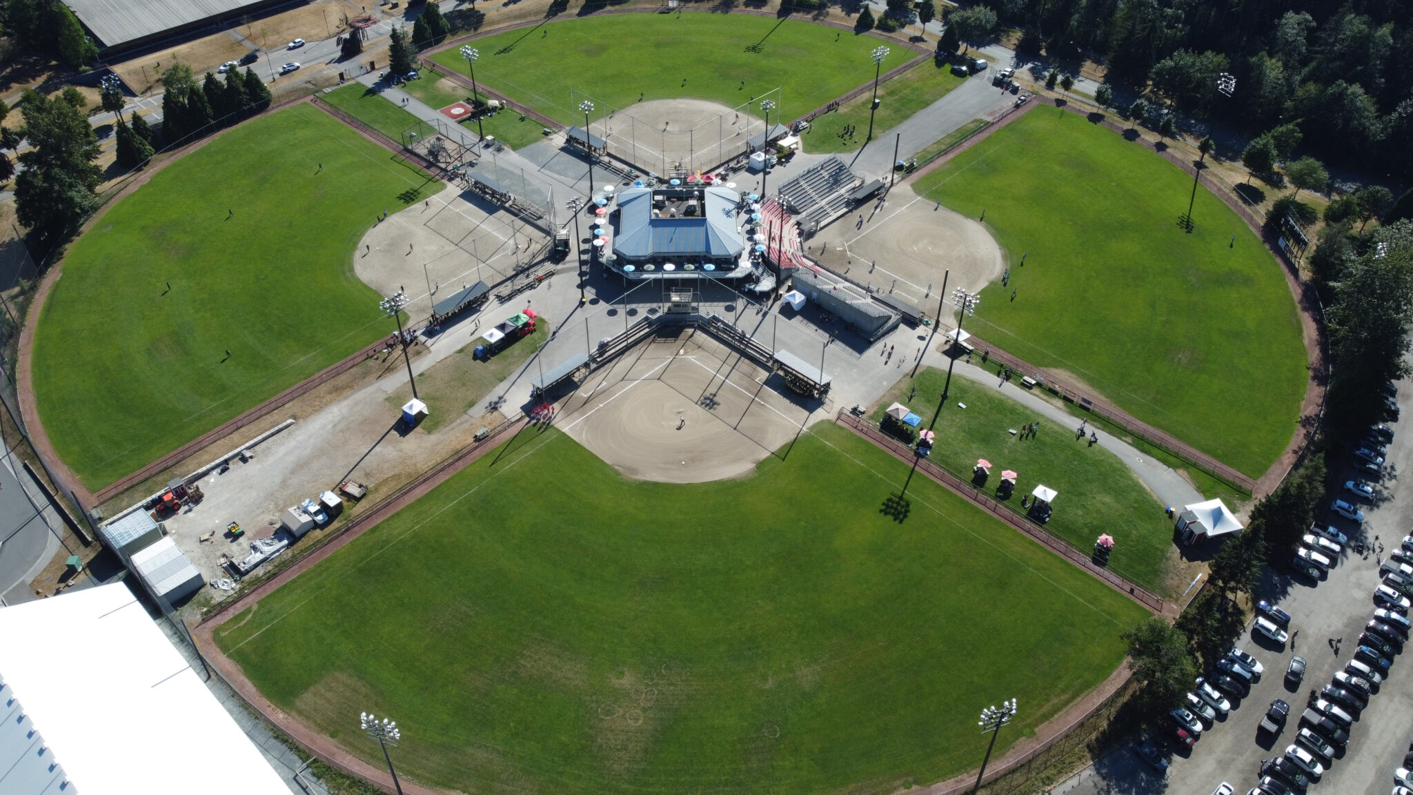 Society - Softball City